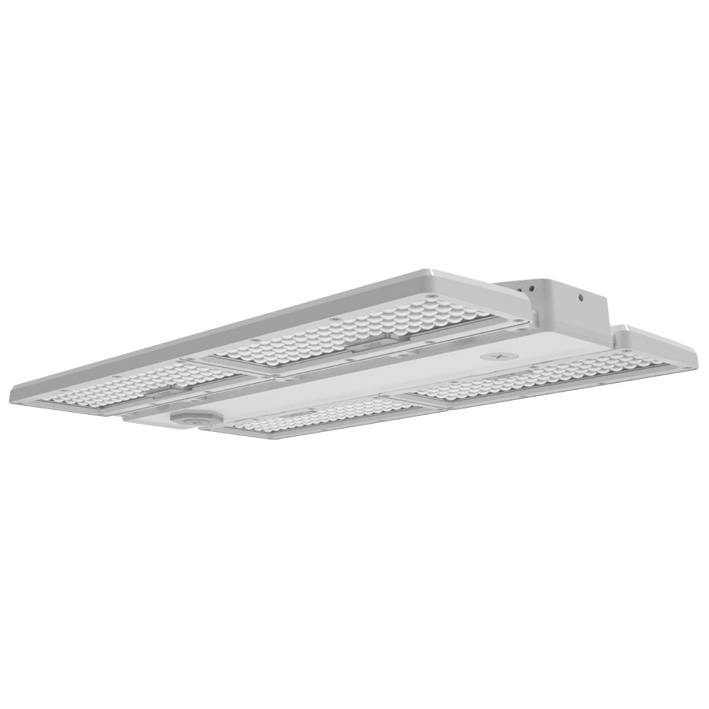 RENO Lighting Products by Popularity